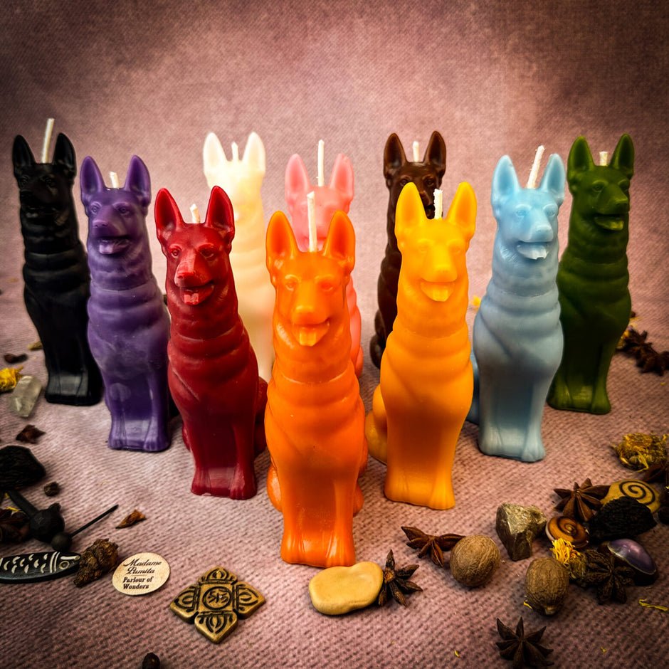 The Witch's Guide to Animal Familiars by Madame Pamita - Parlour of Wonders