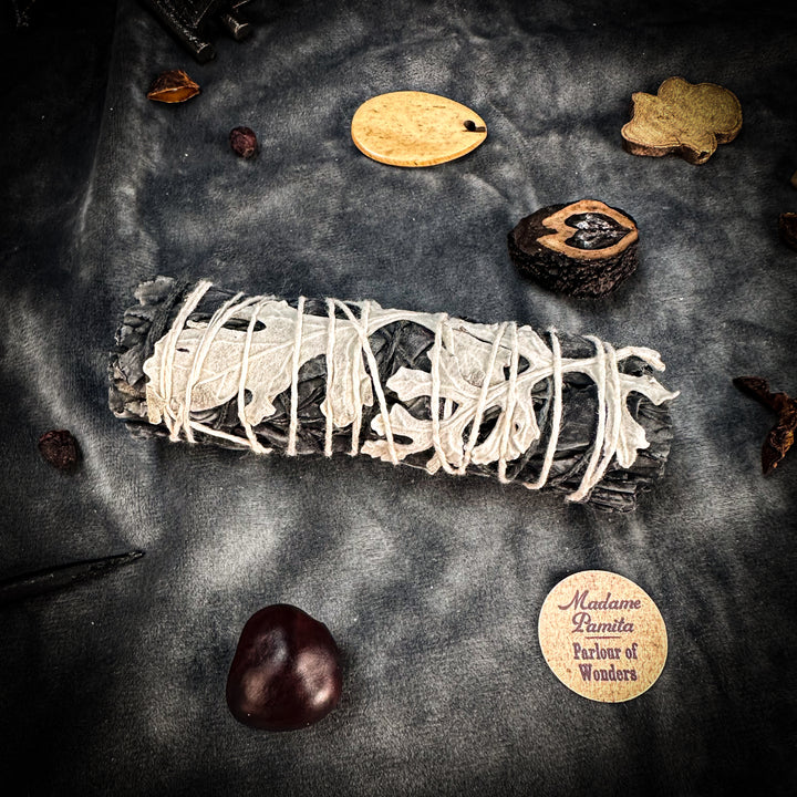 Angelica Root: Magical Uses and Properties - Parlour of Wonders