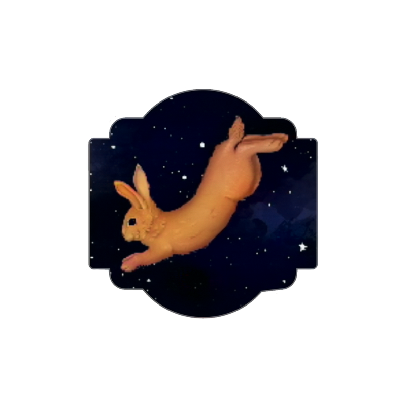 The Witch's Guide to Animal Familiars by Madame Pamita - Parlour of Wonders