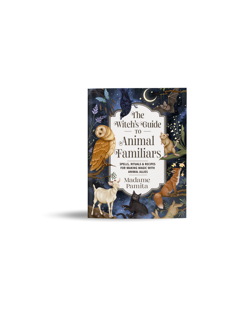 What do Raccoons Symbolize? - Parlour of Wonders